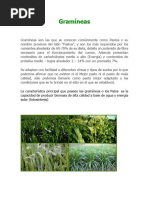 Ficha Técnica Del Pasto Guinea (Panicum Máximum Cv. Guinea Común) | PDF