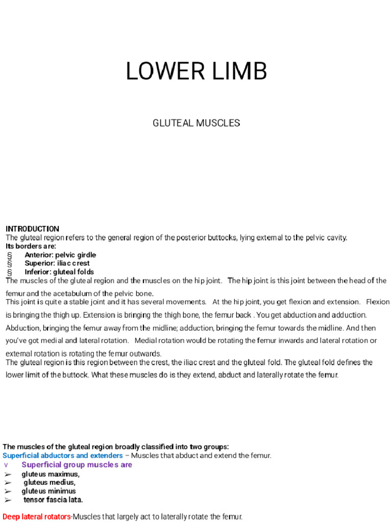 GLUTEAL MUSCLES - Phoenix | PDF