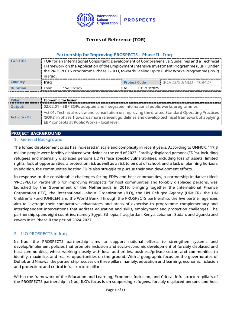 RFQ-018-25 TOR IC EIIP Guidelines Development Iraq Mar25 | PDF | Methodology | International ...