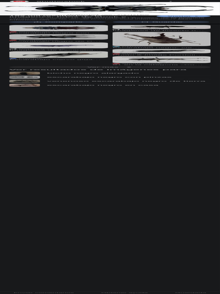 Bicho Color Negro Con Pinzas - Buscar Con Google | PDF