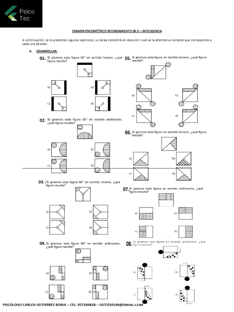 Psicometrico - Inteligencia Ref 06D | PDF