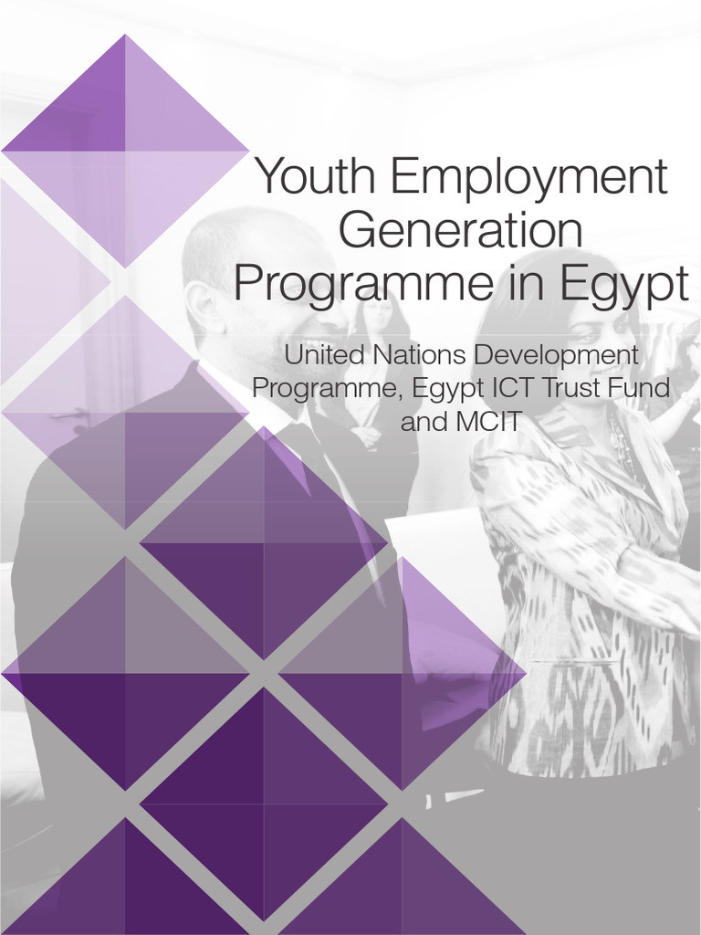 Youth Employment Generation Programme in Egypt Yegp United Nations ...