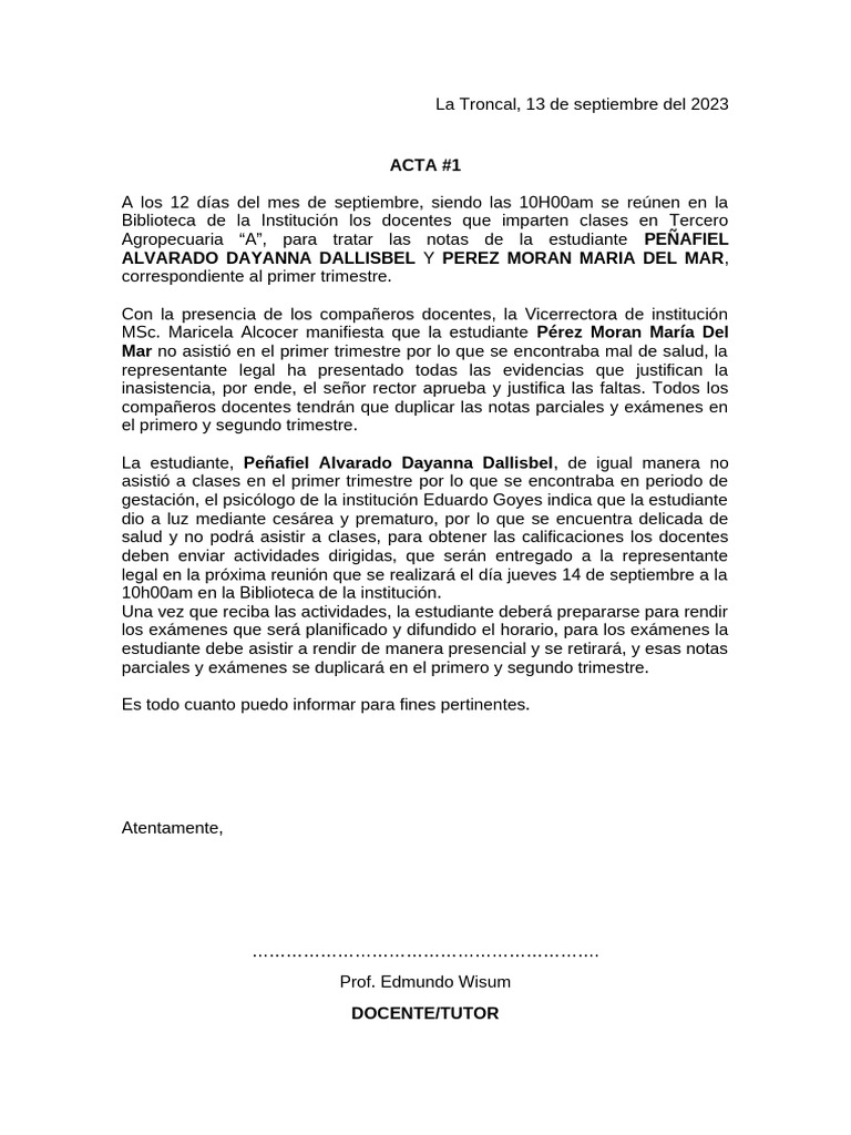 ACTAS-Ejemplo | PDF