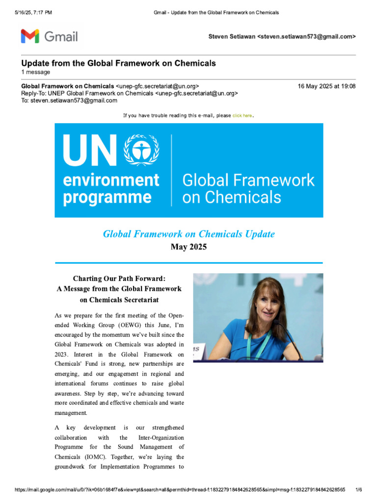 Gmail - Update From The Global Framework On Chemicals | PDF