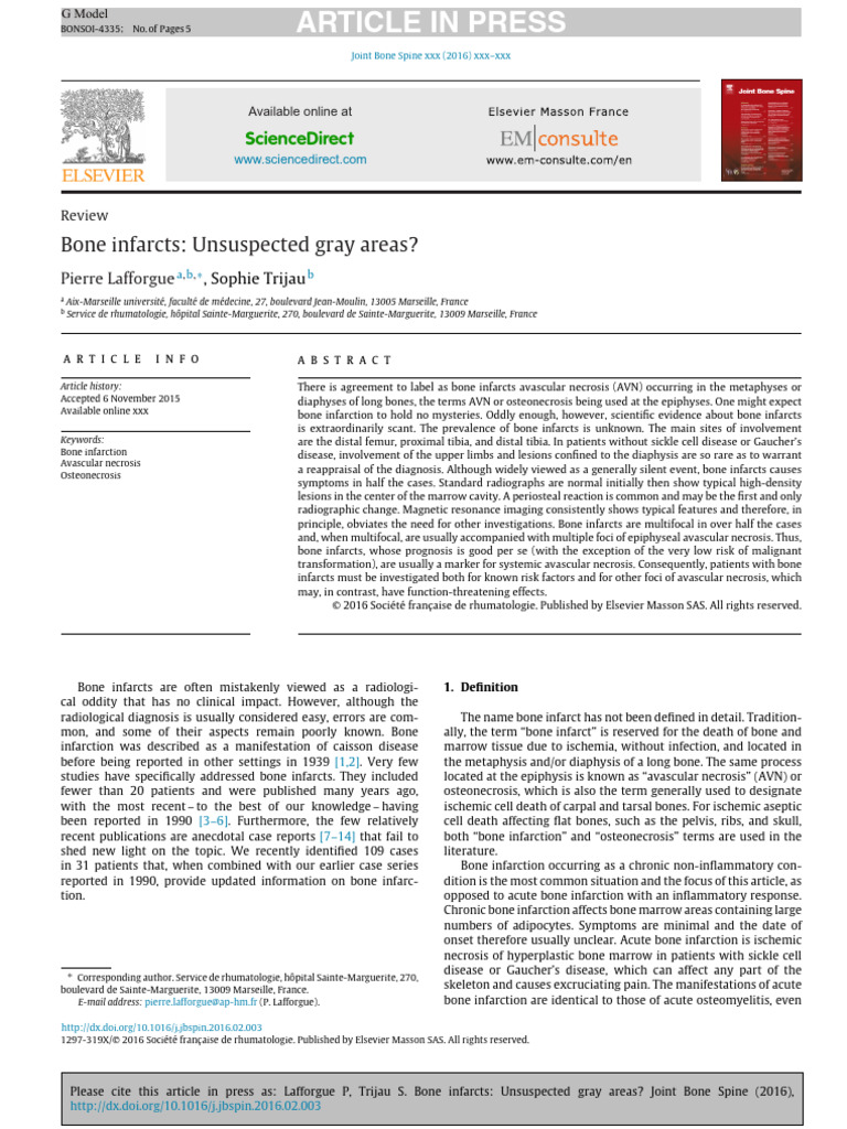 Understanding Bone Infarcts and AVN | PDF | Bone | Skeletal System