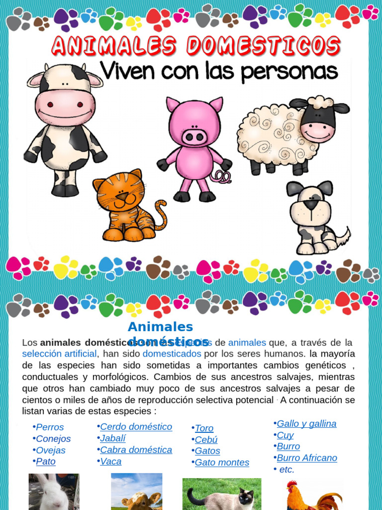 Cuidado y bienestar de animales domésticos | PDF | Domesticación | Perros