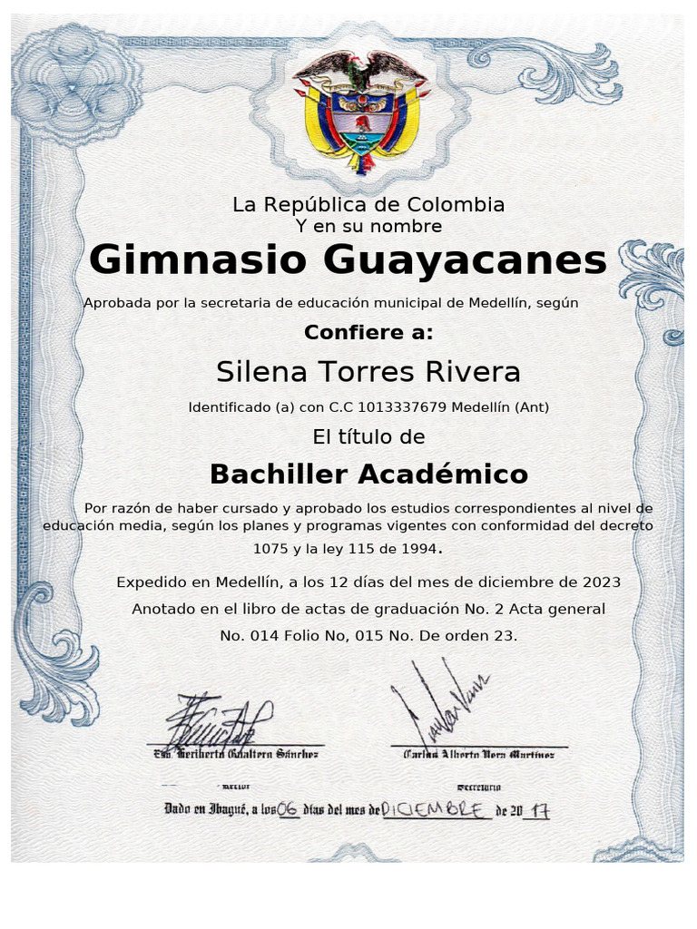Diploma Nuevo | PDF