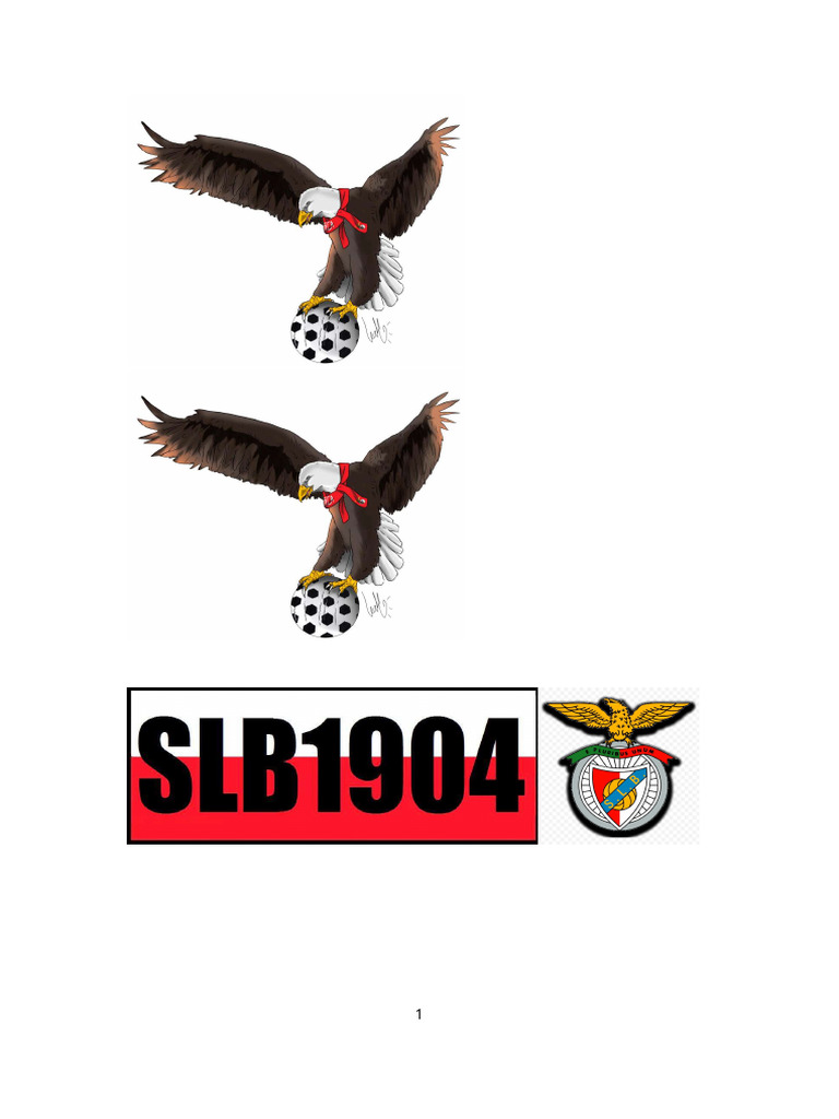 SLB | PDF