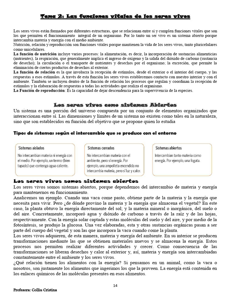 Funciones Vitales de los Seres Vivos | PDF | Organismos | Metabolismo