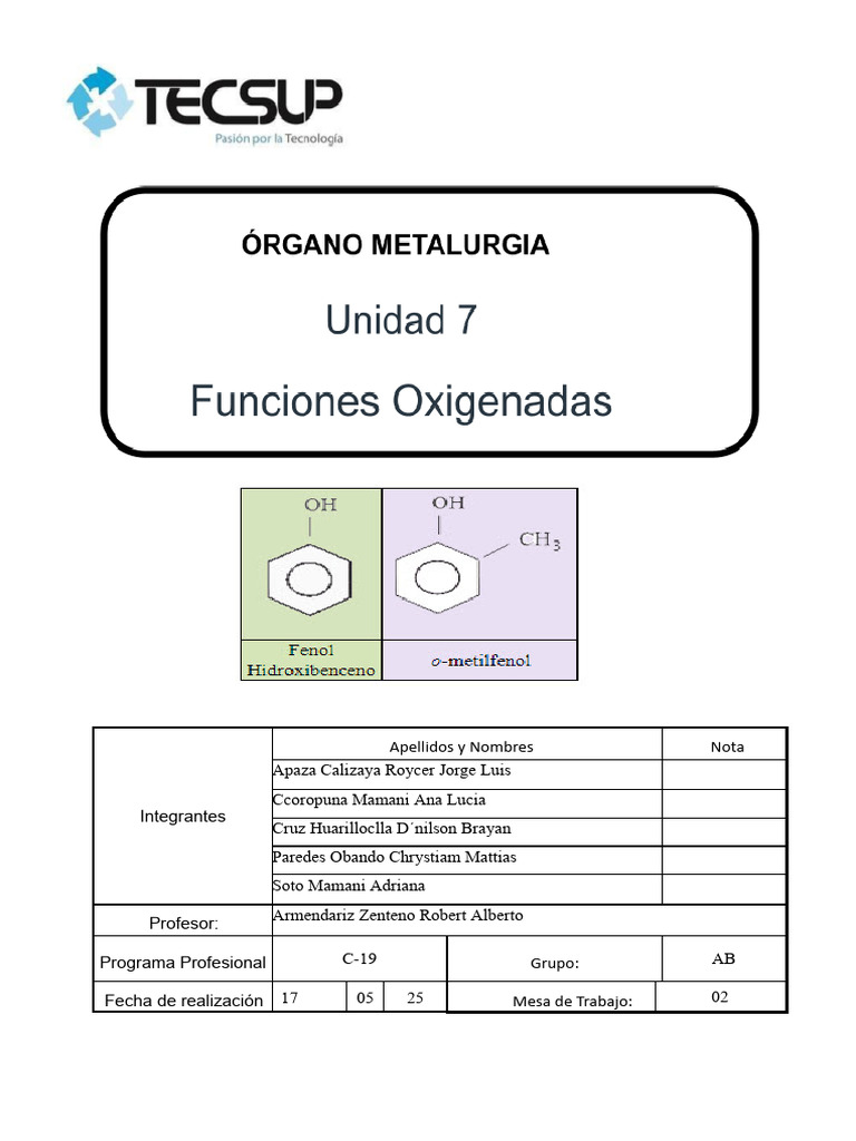 Unidad 7. Funciones Oxigenadas | PDF