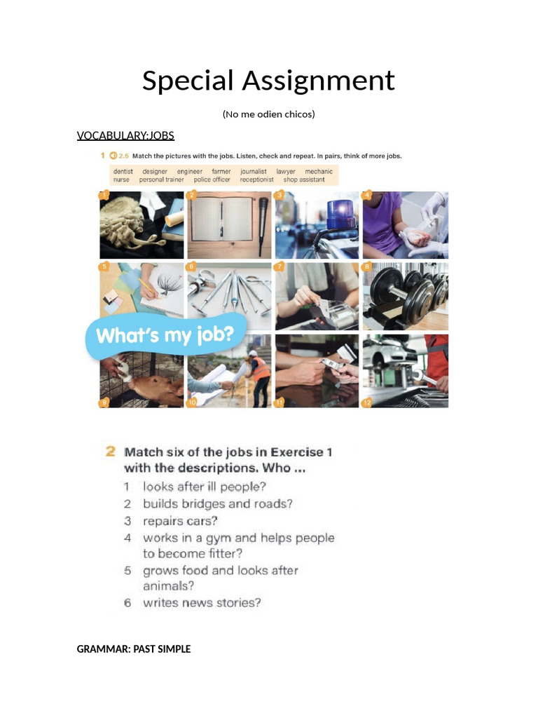 Special Assignment | PDF