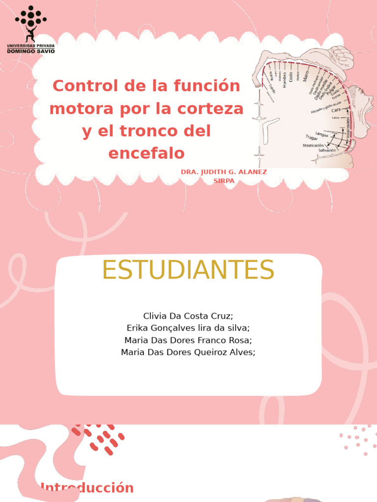 Control de La Función Motora Por La Corteza y El Tronco Del Encefalo ...