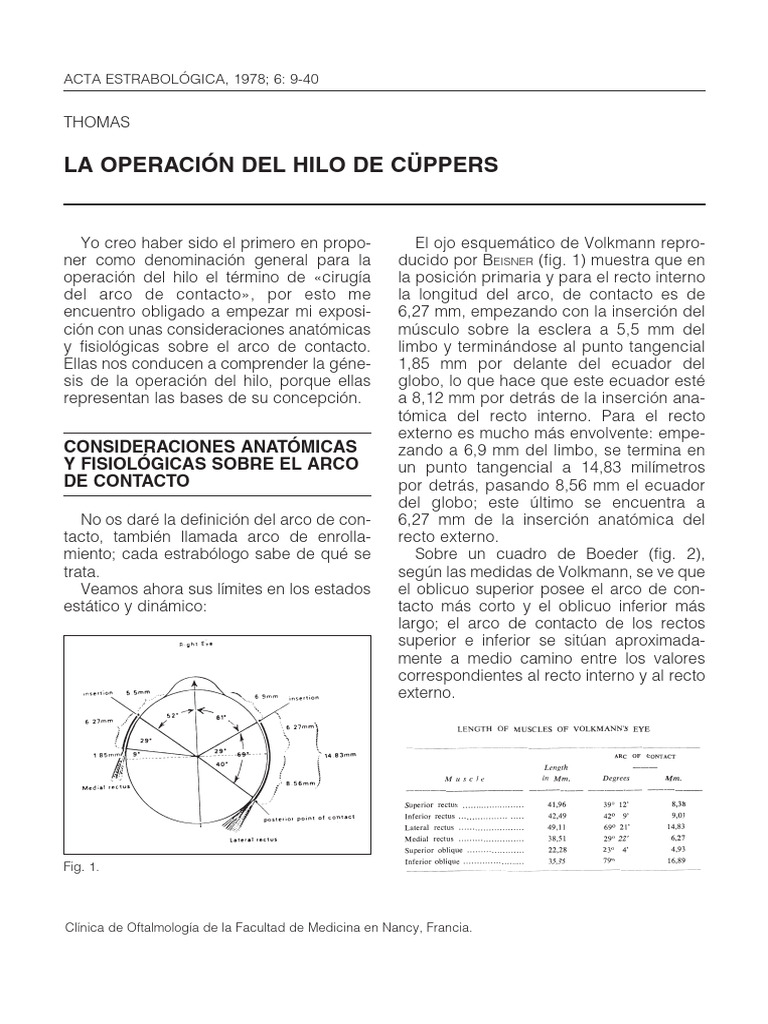 La Operación Del Hilo de Cüppers: Consideraciones Anatómicas Y Fisiológicas Sobre El Arco de ...