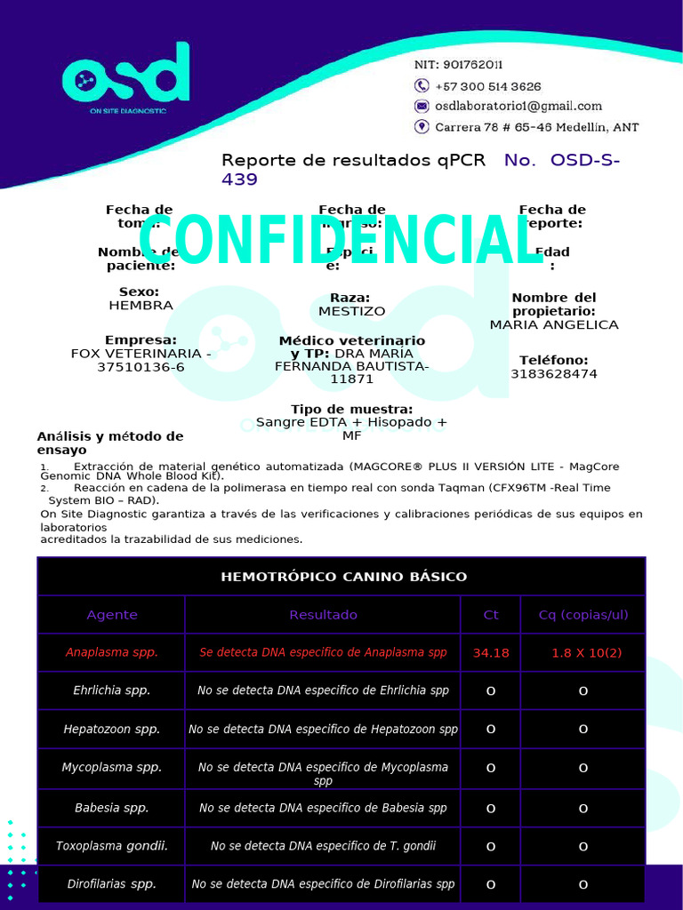 Informe de Resultado OSD-S-439 (Manchas) | PDF | Ácidos nucleicos | Adn