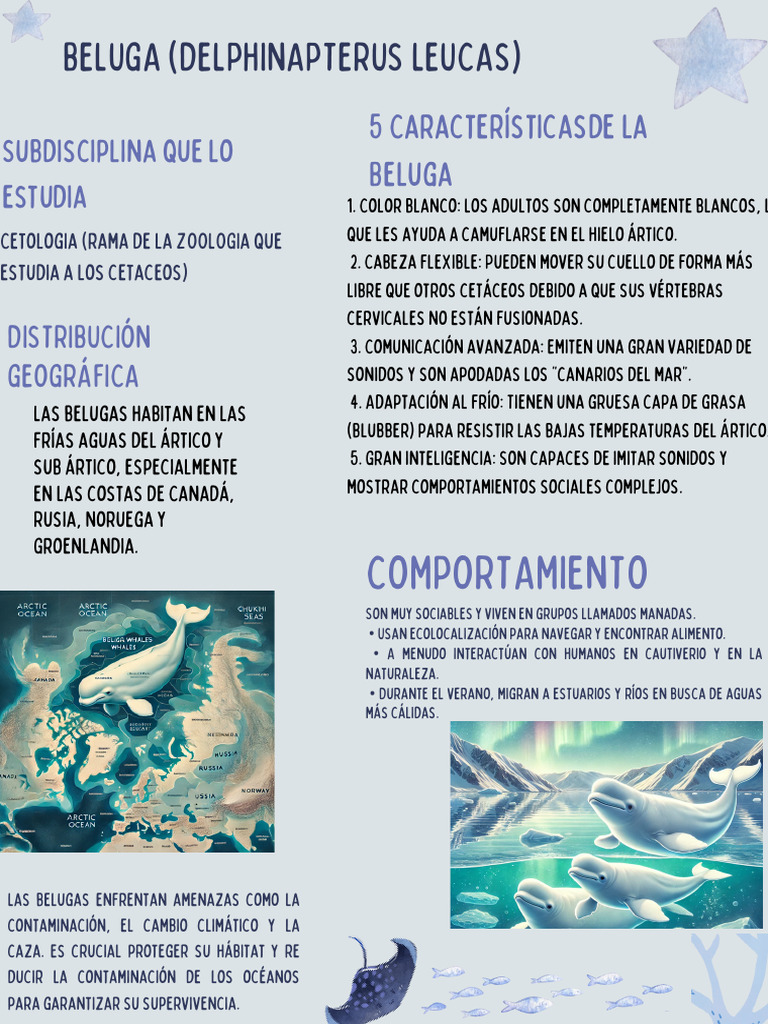 Afiche de La Beluga PDF | PDF