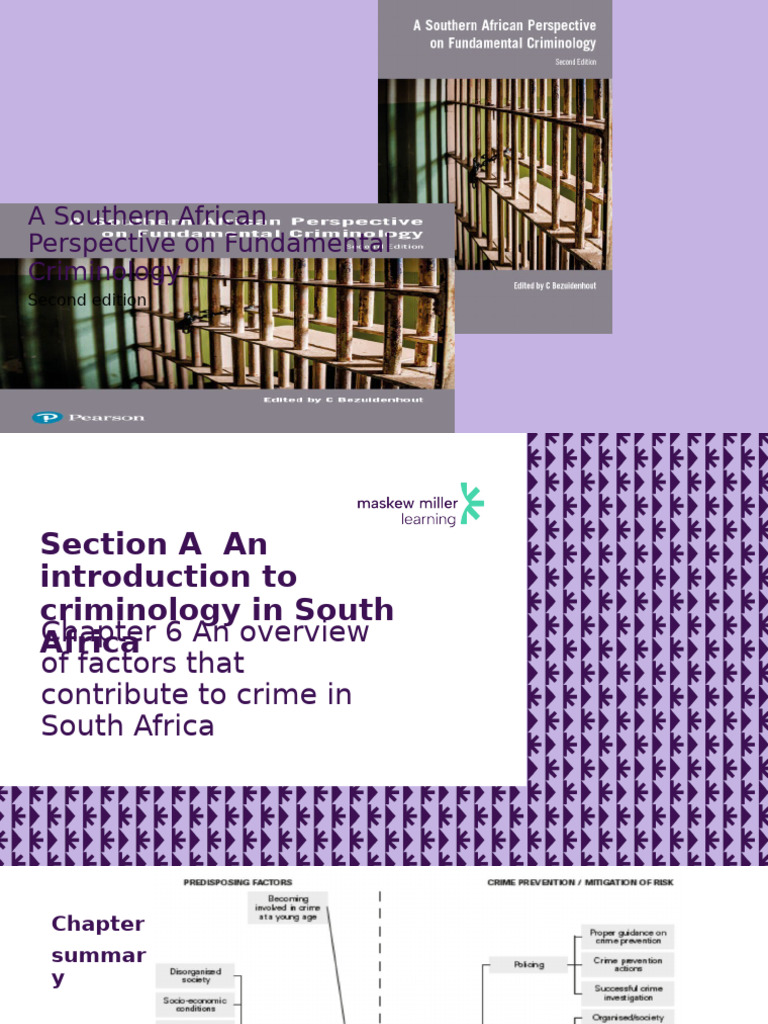 Theme 6 Term 2 - An Overview of The Factors That Contribute To Crime in ...