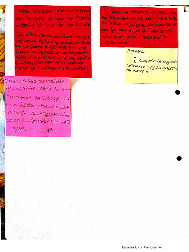 ANATOMIA 2do Cuatri | PDF