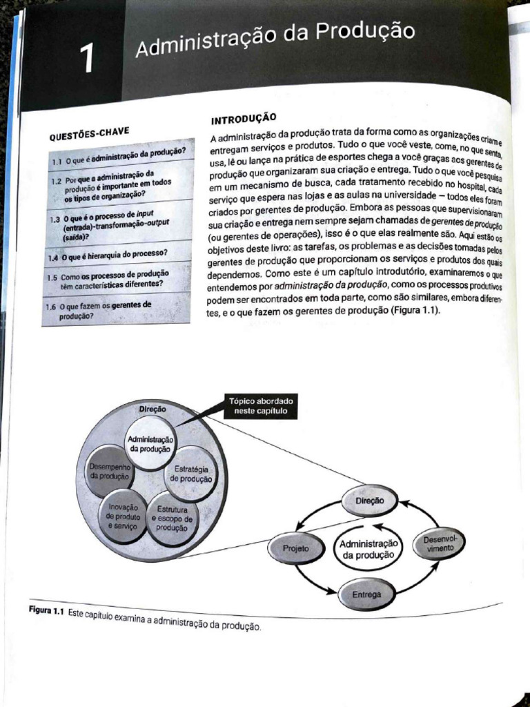 Capitulo 1- Novo Slack Merged Compressed 1 | PDF
