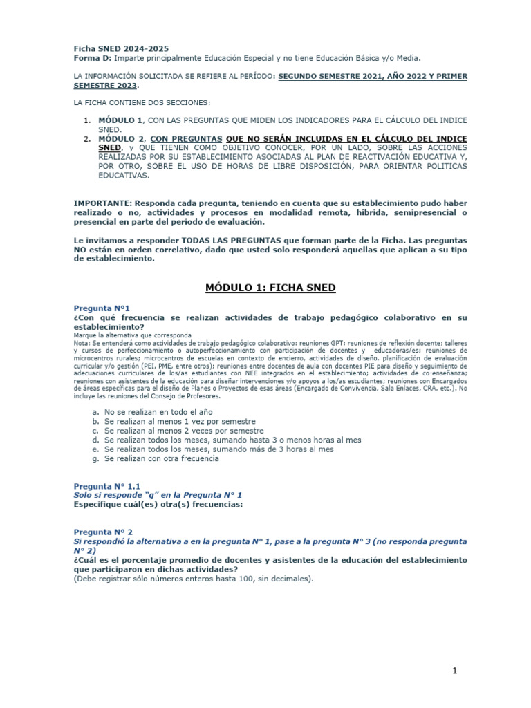 Ficha SNED 2024 2025 Forma E | PDF | Plan de estudios | Enseñando