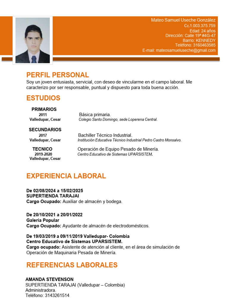 Perfil Laboral de Mateo Samuel Useche | PDF | Colombia