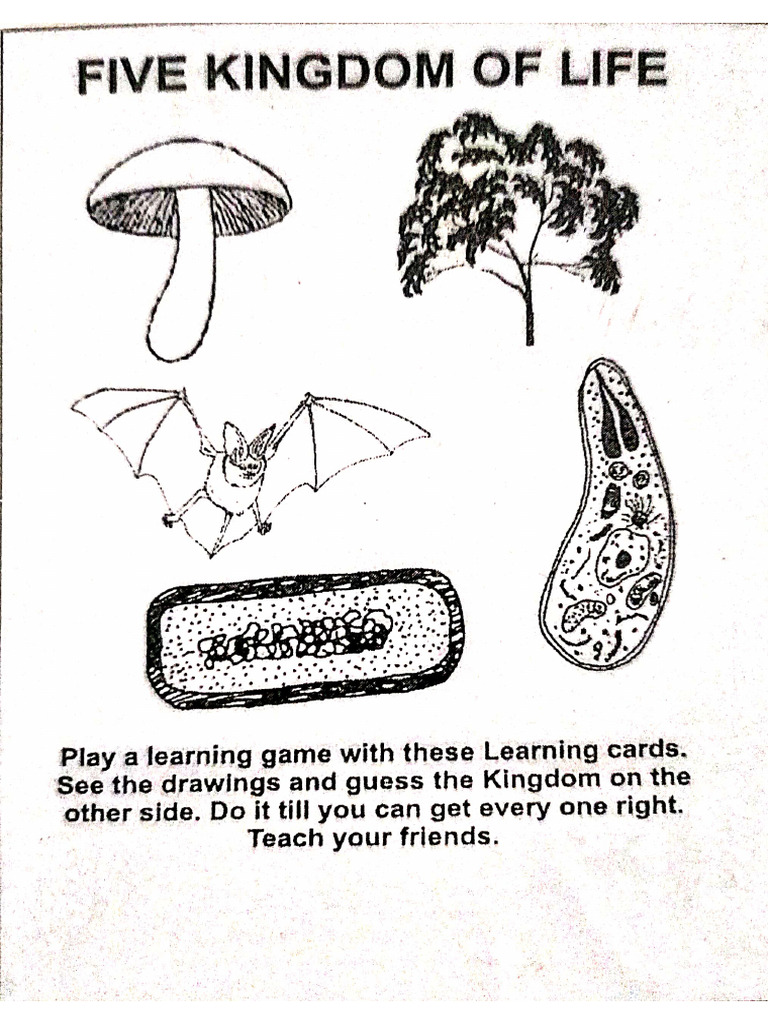 Five Kingdoms of Life | PDF