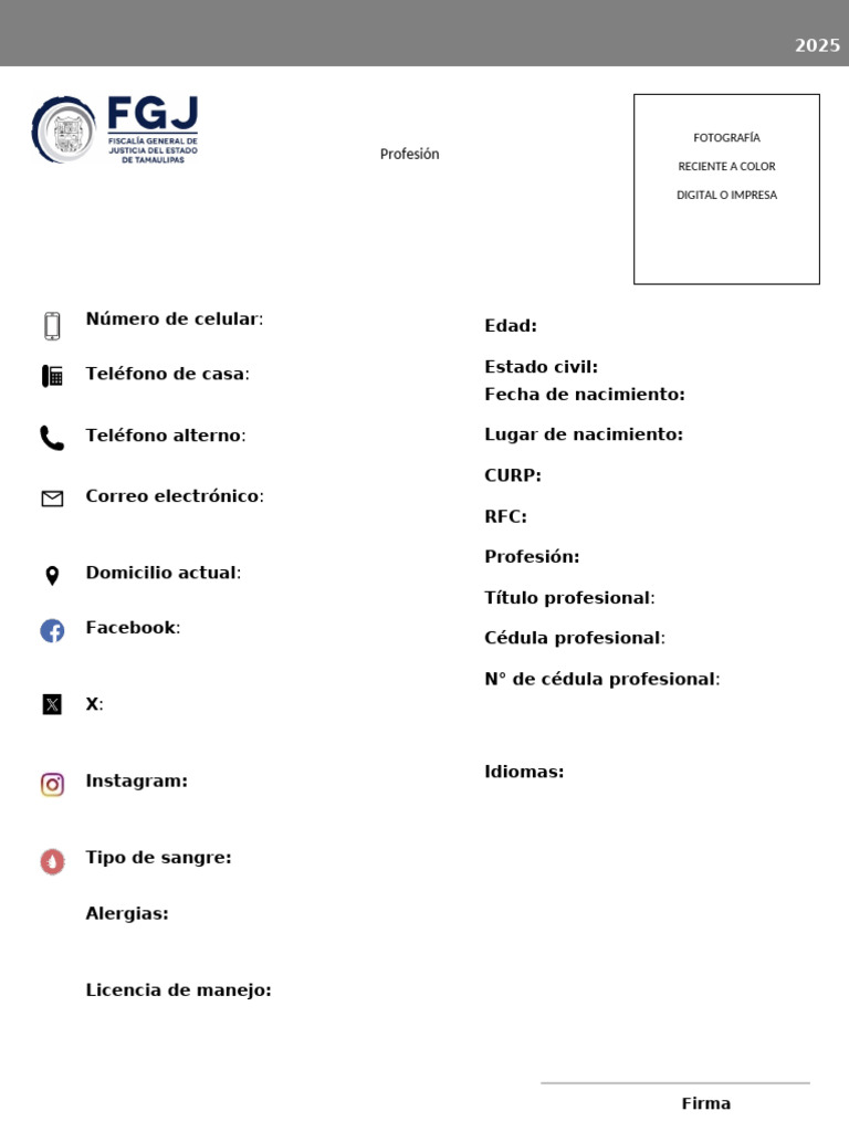 Formato CV 2025 | PDF