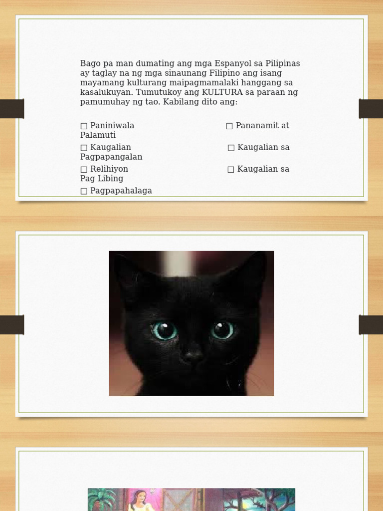 Soc's Stud PPT Demo | PDF