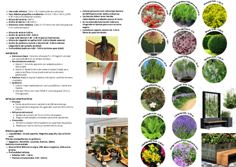 ? Dimensiones Recomendadas para Combinar Bancas + Árboles o Plantas ...