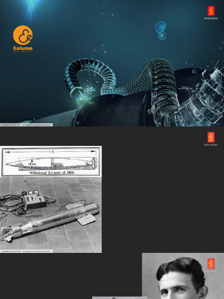 MILLS-Richard-Introducing-Eelume-A-resident-swimming-robot-for-IMR | PDF