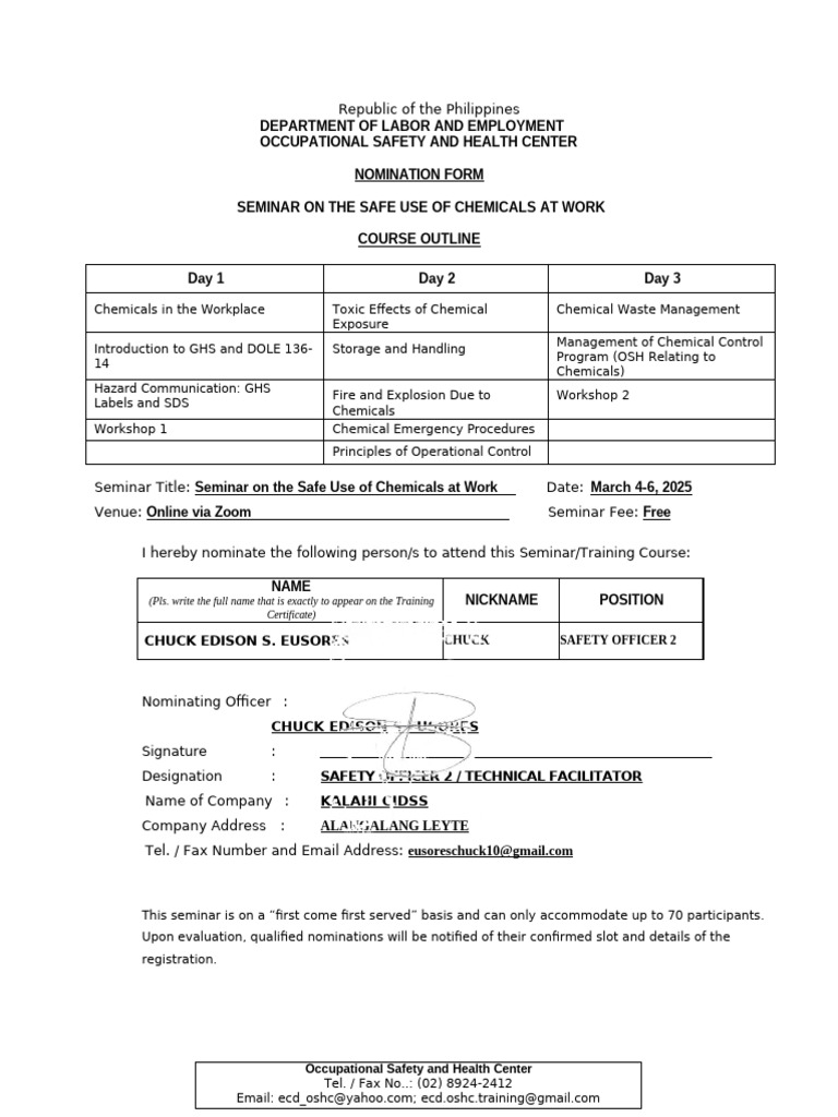 Nomination-Form CSW - March 4-6, 2025 - Template | PDF | Workplace ...