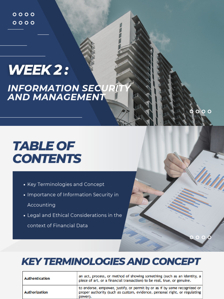 Information Security in Accounting Guide | PDF | Security | Computer ...
