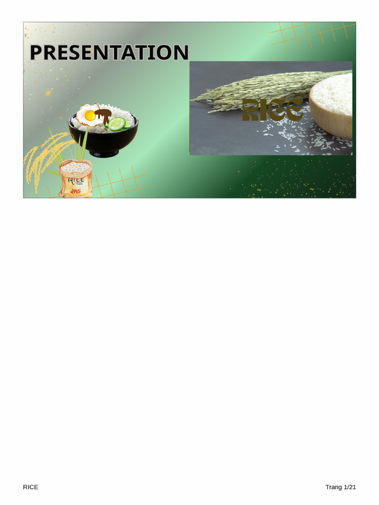 RICE | PDF