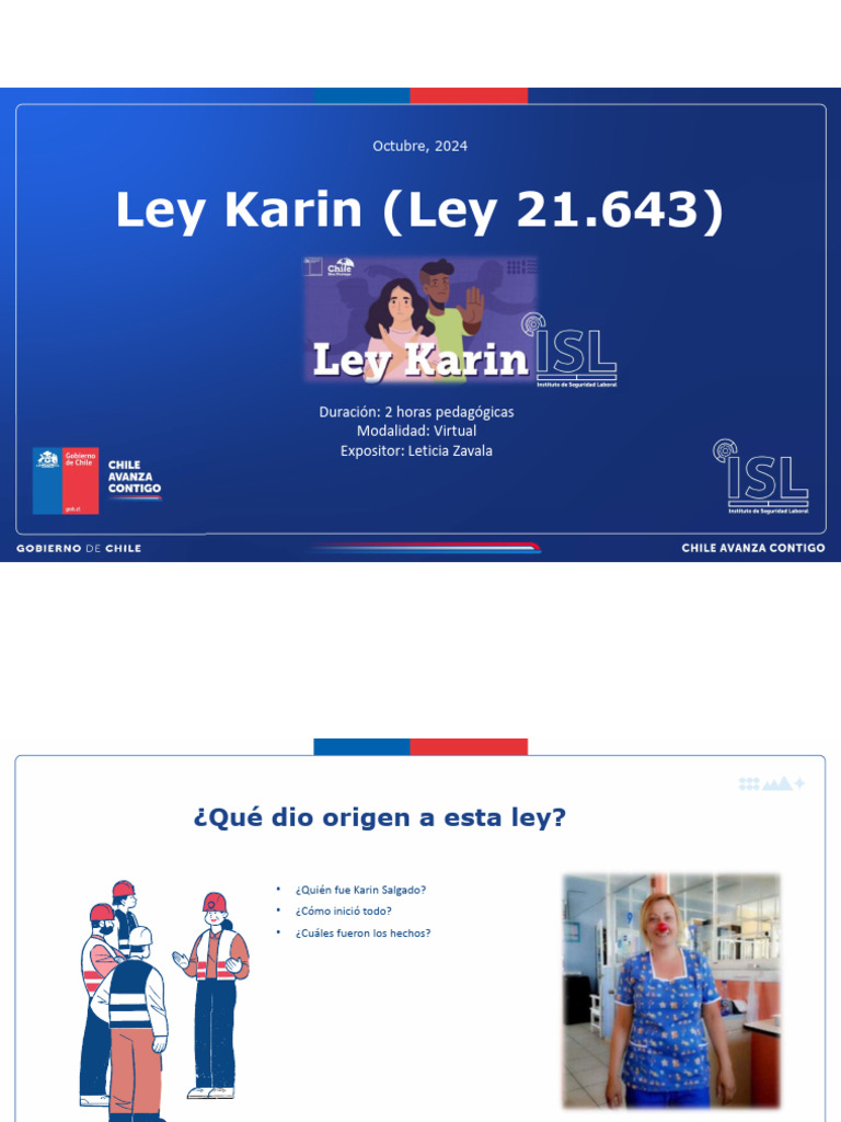 Presentacion Isl Ley Karin PDF | PDF | Acoso sexual | Violencia