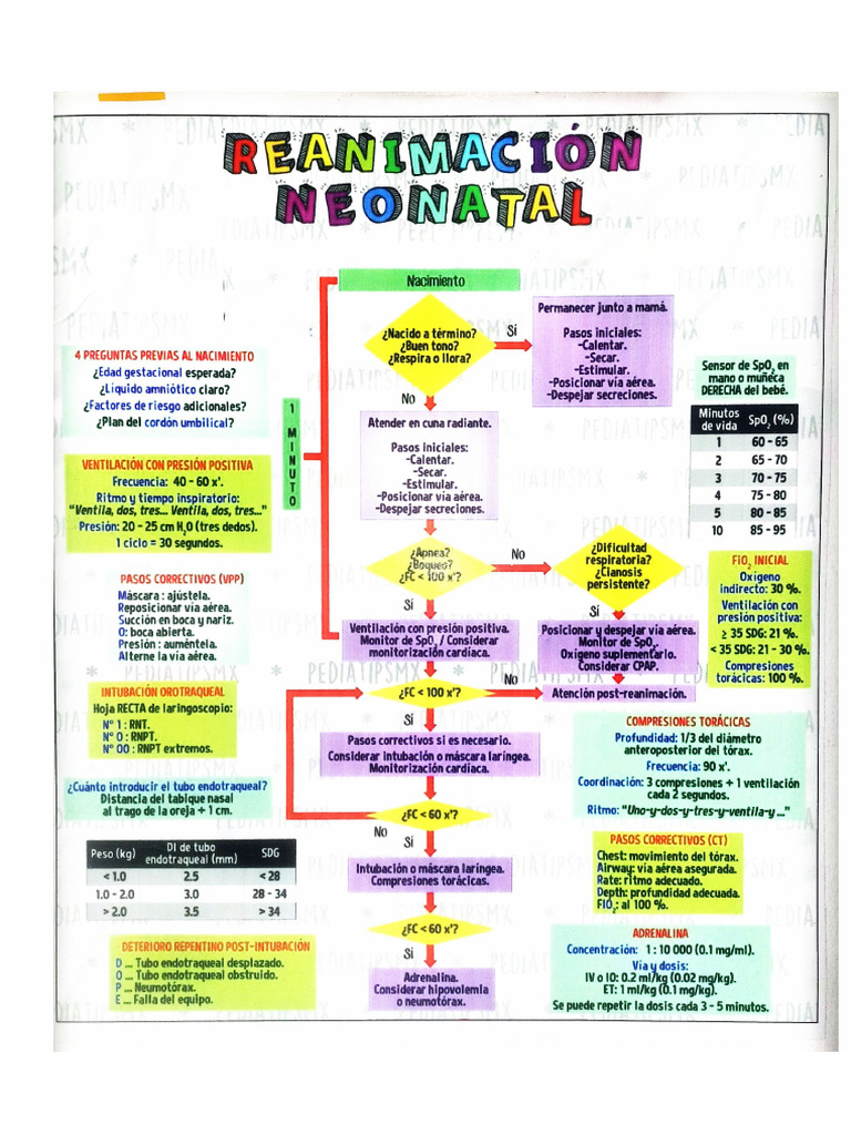 RCP Neonatal | PDF