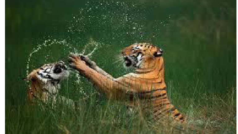 Presentation About h2 | PDF