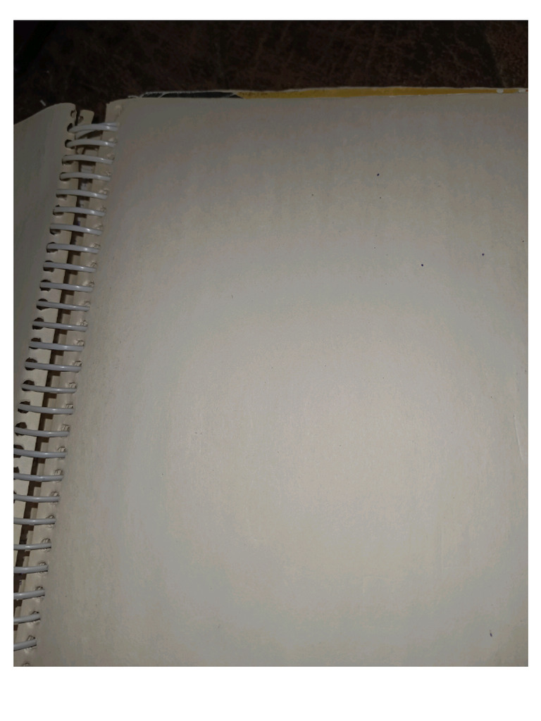 Blank Notes | PDF
