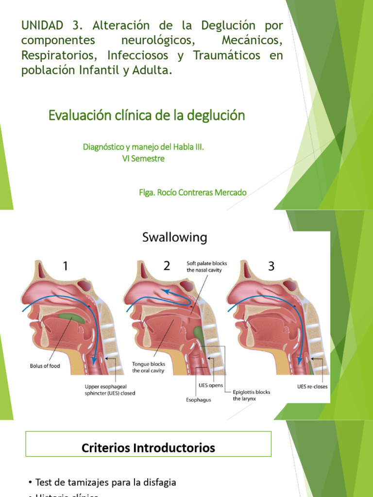 Evaluación Clínica de La Deglución - Compressed | PDF | Dieta | Medicina