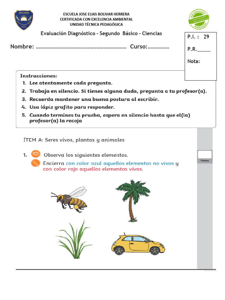 Evaluación Diagnóstica Ciencias Naturales | PDF