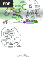 Protein Synthesis Worksheet | PDF