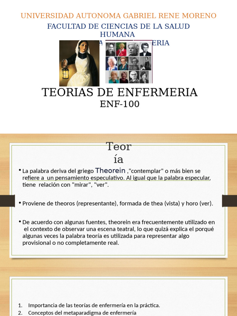 Teorias de Enfermeria | PDF | Teoría | Enfermería