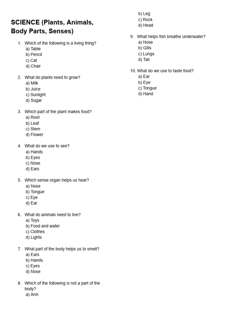 Science Quiz: Living Things & Senses | PDF