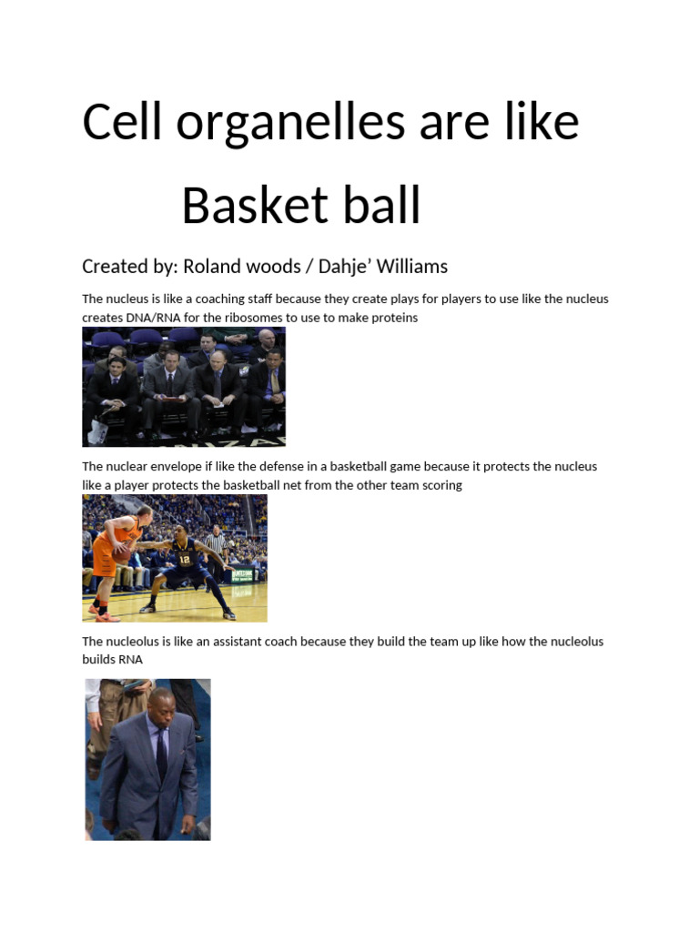 Cell Organelle Analogy 2 | PDF