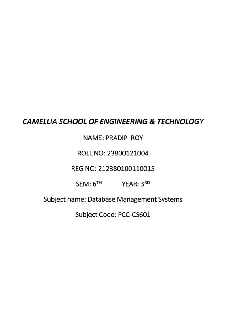 Database Management System | PDF