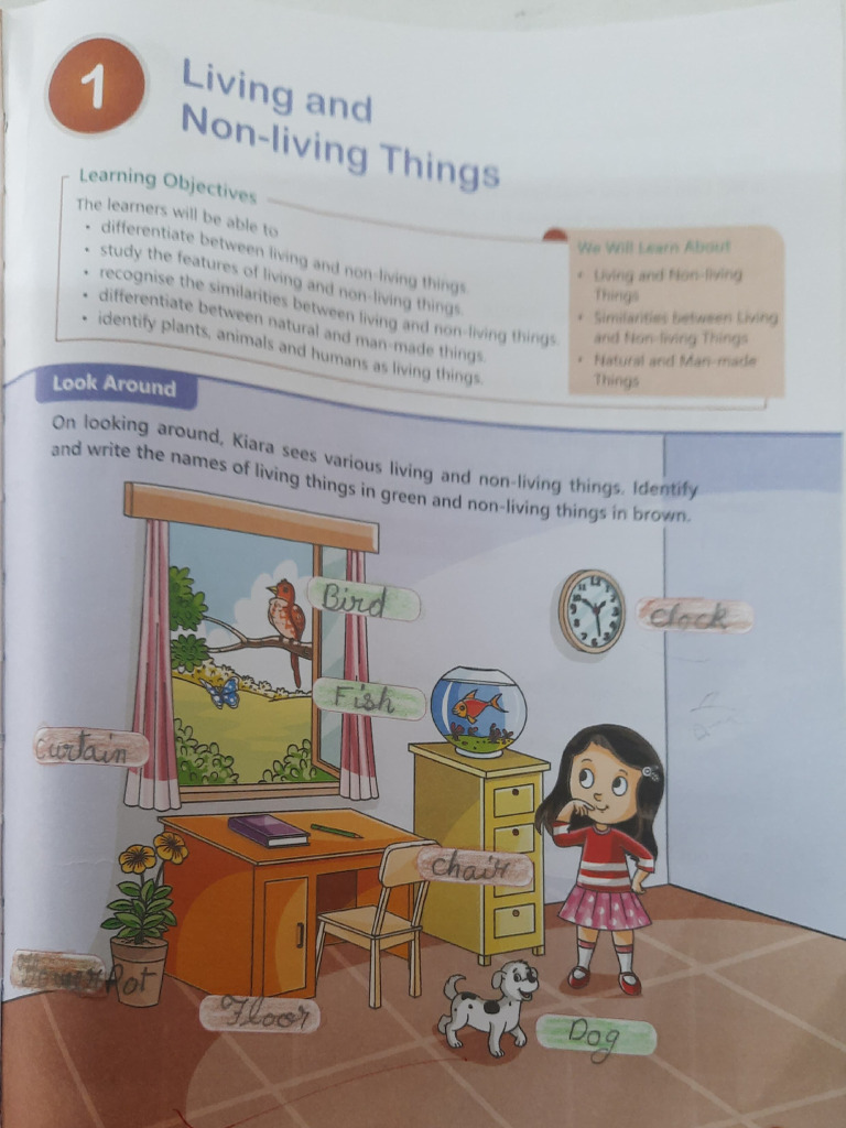 Living vs Non-Living Things Guide | PDF | Cognition | Psychology
