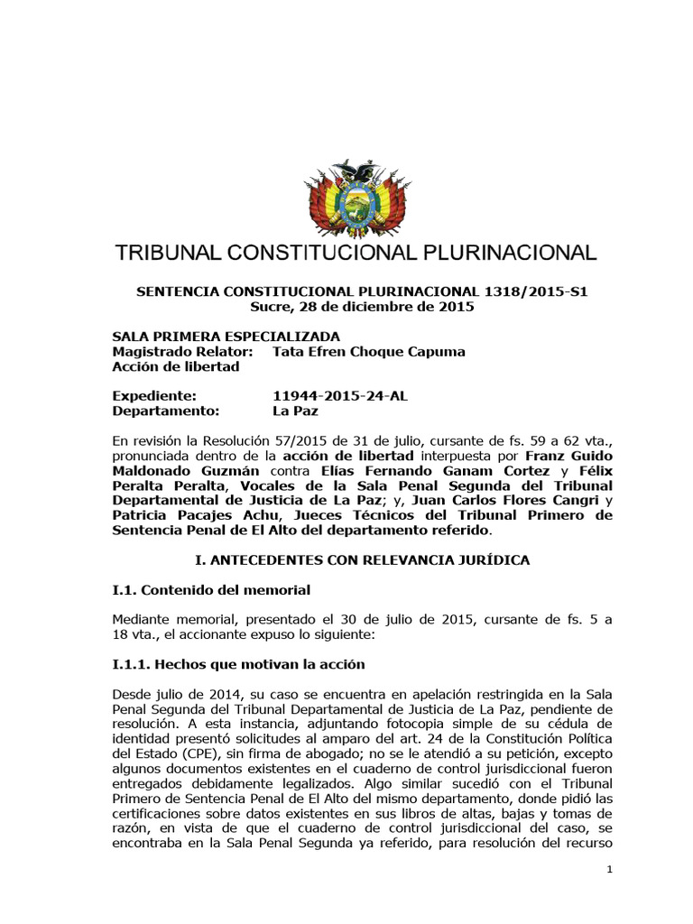 Obtiene Resolucion | PDF | Derecho Constitucional | Constitución