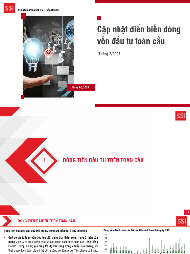 Cap Nhat Dien Bien Dong Von Au Tu Toan Cau Thang 22025 | PDF