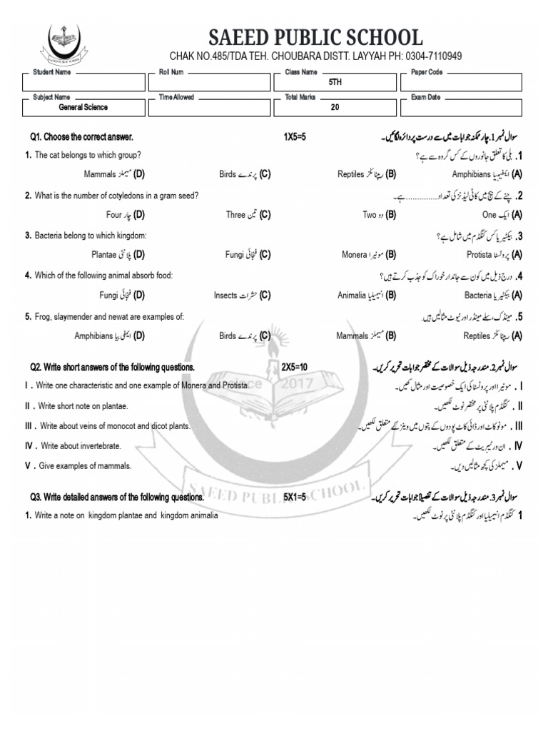 5th Class Test | PDF