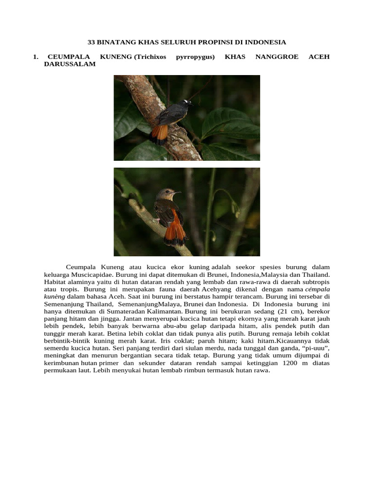 33 Binatang Khas Seluruh Propinsi Di Indonesia | PDF