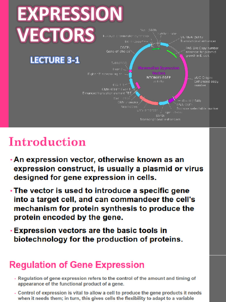 Lecture 6 Expression Vectors | PDF | Fusion Protein | Green Fluorescent Protein
