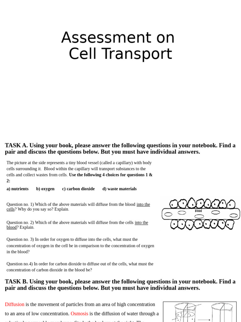 Activity For Diligence | PDF | Diffusion | Blood